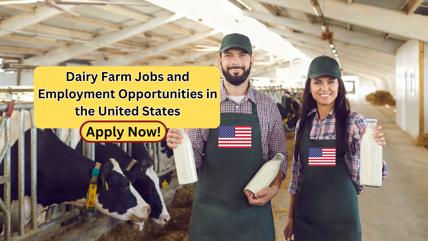 Dairy Farm Jobs and Employment Opportunities in the United States ...